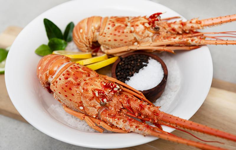 Welcome to Seapearl Tradelinks, Australia